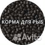 Корм для рыб (клариевого или африканского сома)