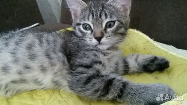 Красотка в единственном экземпляре