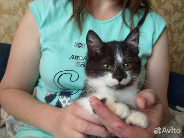 Потеряшка ищет дом