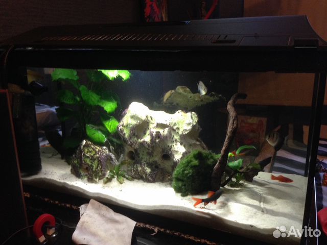 Акаариум aquael ledyset60