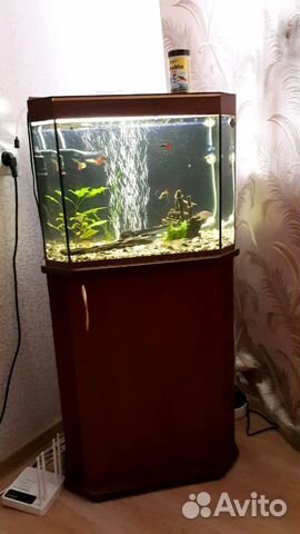 Аквариум