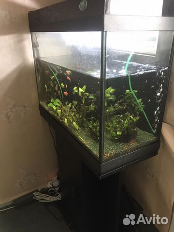 Аквариум ссб-Аква 100л с тумбой