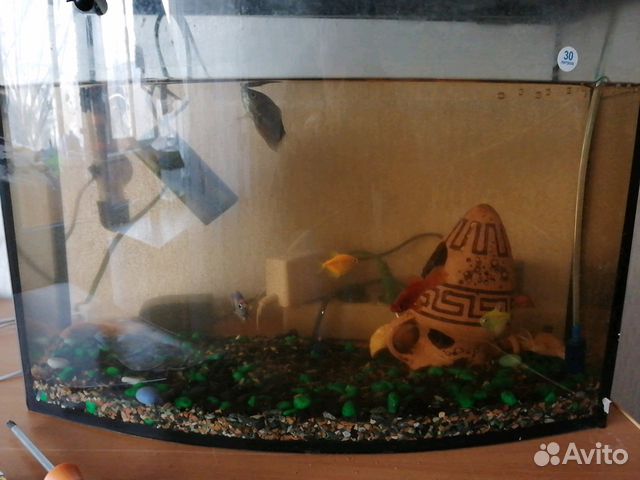 Аквариум