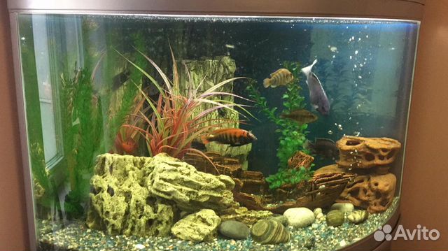 Аквариумный комплекс jebo угловой 197л