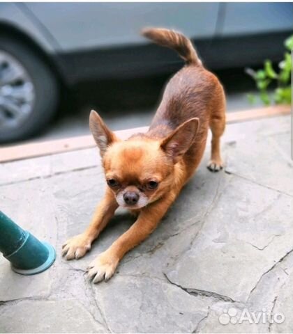 Готов для серьезных отношений