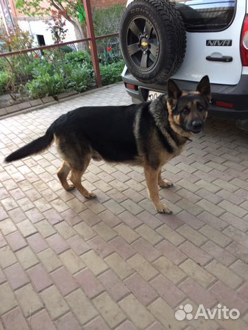 Кабель для вязки