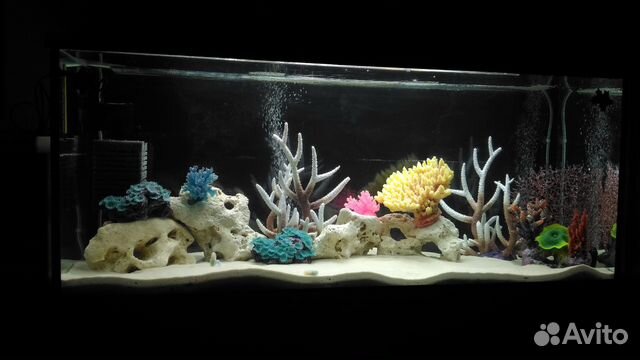 Аквариум 240 л