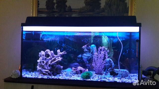 Аквариум с рыбками