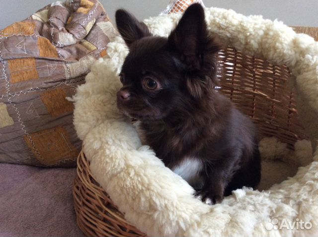 Пусть мама услышит,пусть мама придет