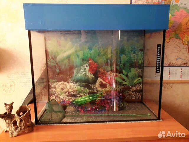 Аквариум