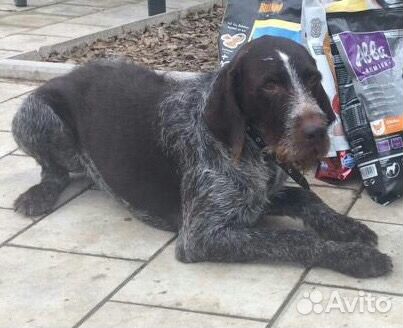 Верните доатхаара