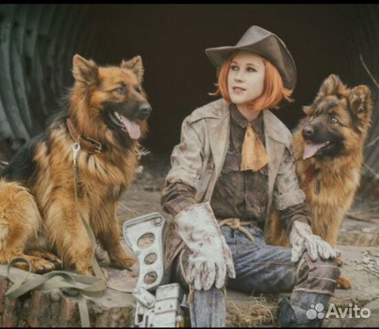 Вязка немецкая длинношерстная овчарка