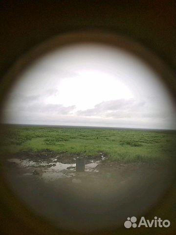 Продам овец с Ягнятами