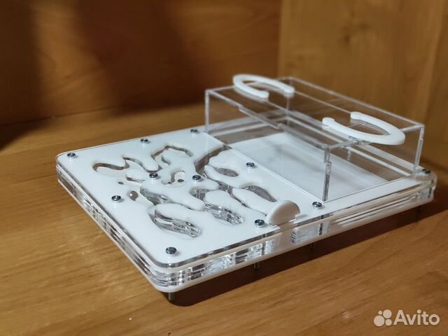 Муравьиная ферма