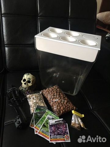 Аква-ферма для рыбки