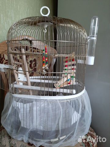 Продам 2-х попугаев с клеткой. Самец и самка