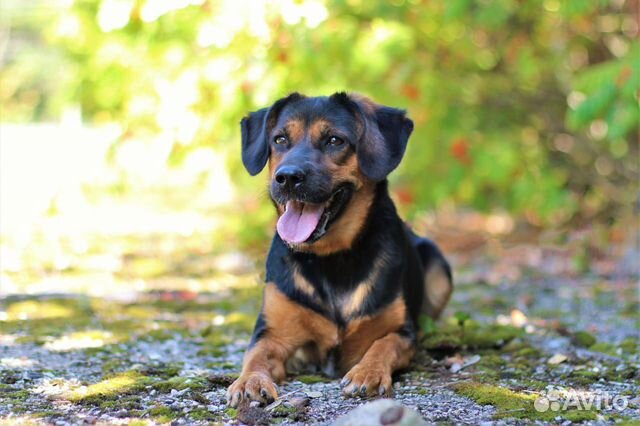 Эмма, 2 года, спортсменка и красавица