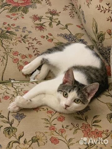 Лаура 5месяцев