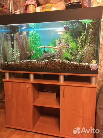 Аквариум 200 литров