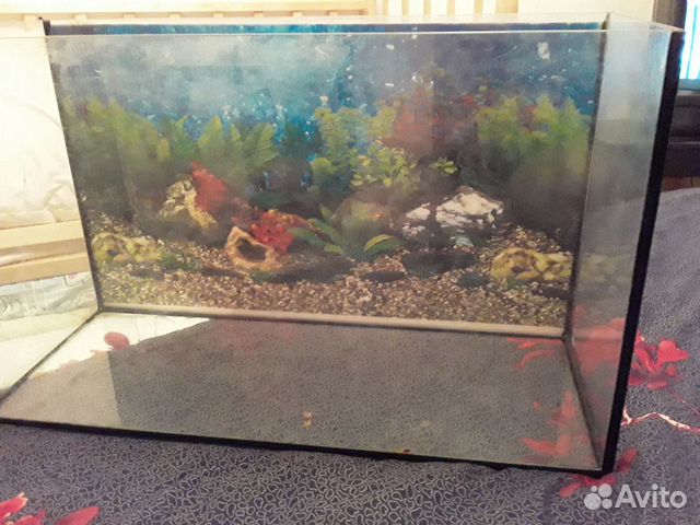 Аквариум 52л