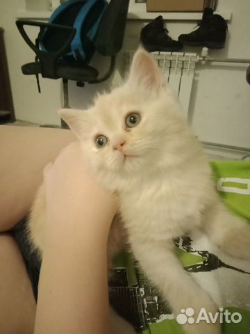 Милая девчуля