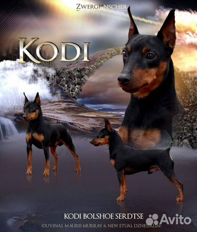 Супер детки