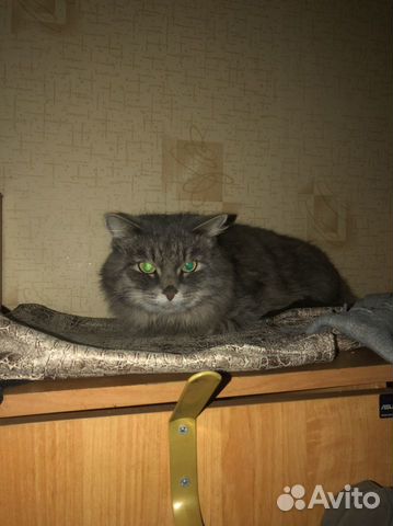 Лакки