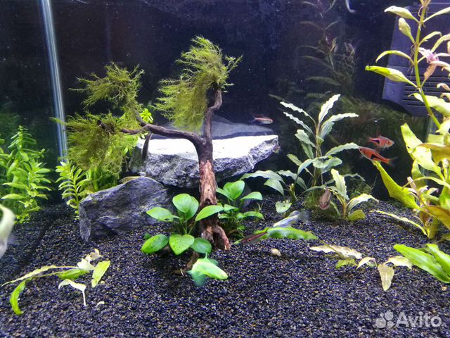 Продам аквариум, свет, фильтр
