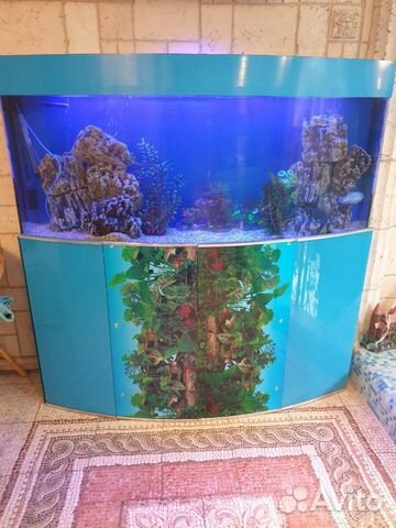Аквариум