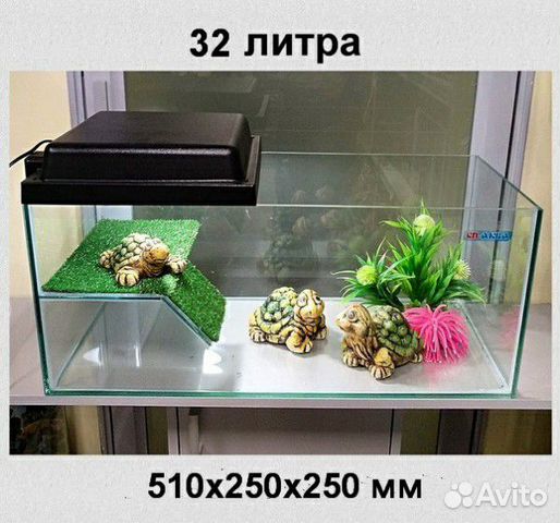 Черепашник