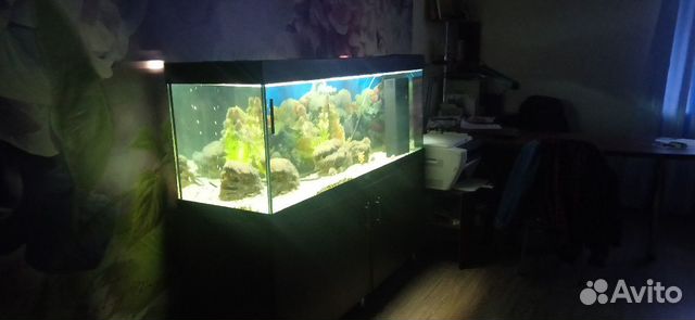 Аквариум juwel 500 L