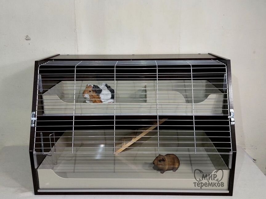 Клетка для морских свинок 100х50х60, венге, скос1