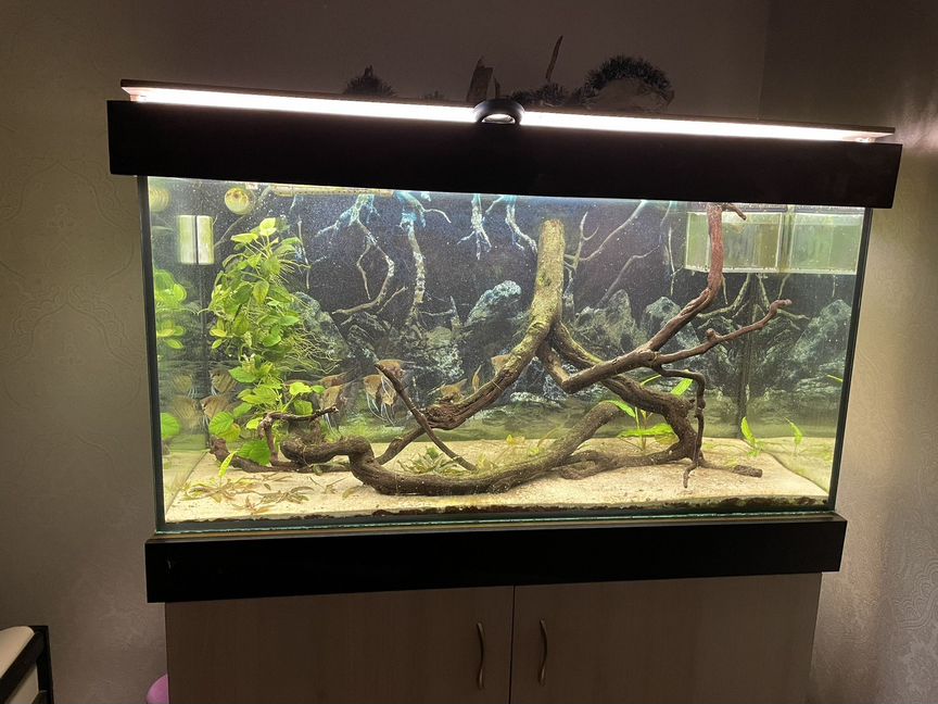 Аквариум 330л