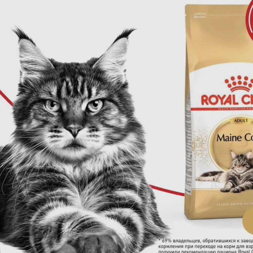 Корм для кошек royal canin