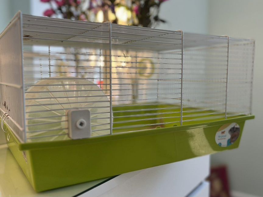 Все для грызунов