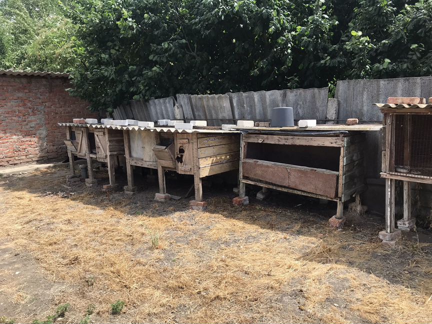 Клетки для с/х животных: кролики, нутрии и т.д