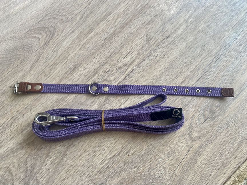 Ошейник и поводок collar комплект