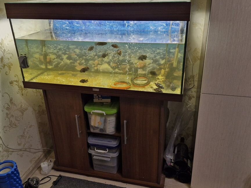Аквариум с тумбой juwel 200 литров