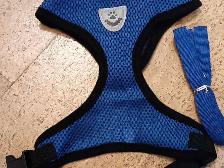 Шлейка для маленькой собаки