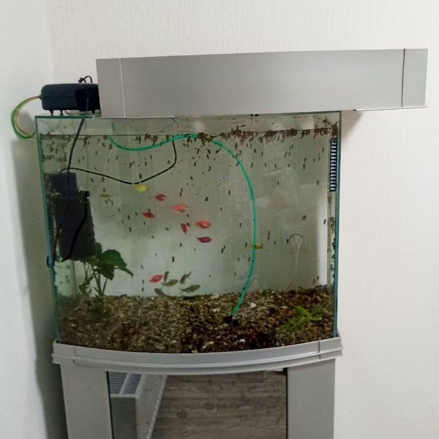 Аквариум с тумбой 170 литров