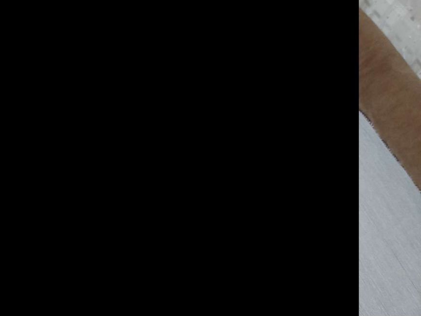 Лежанки для питомцев