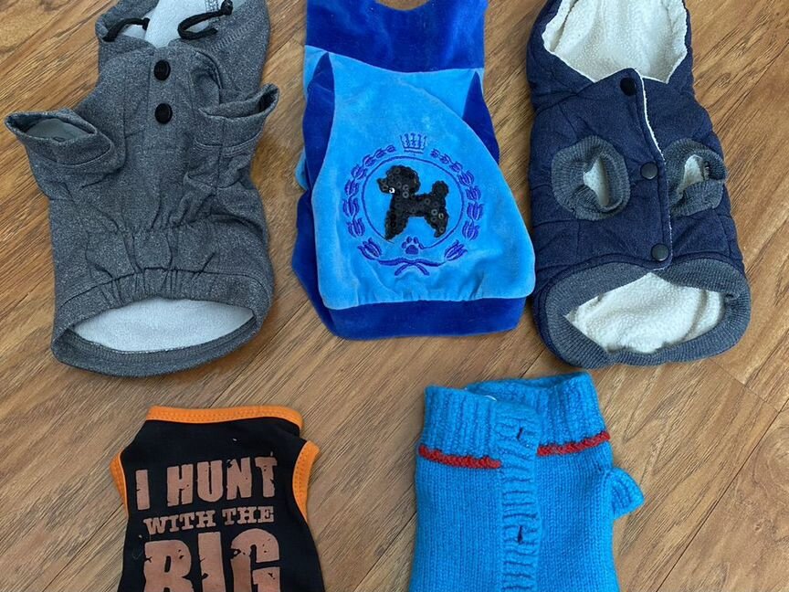 Одежда для собак мелких пород