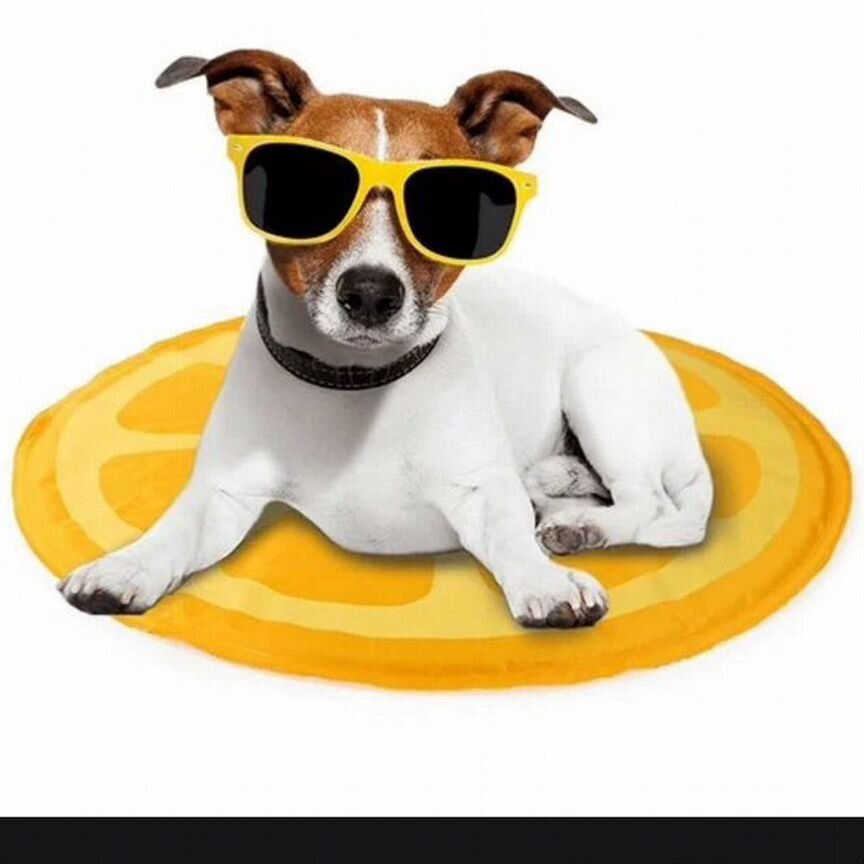 Коврик охлаждающий для животных апельсин оранжевый