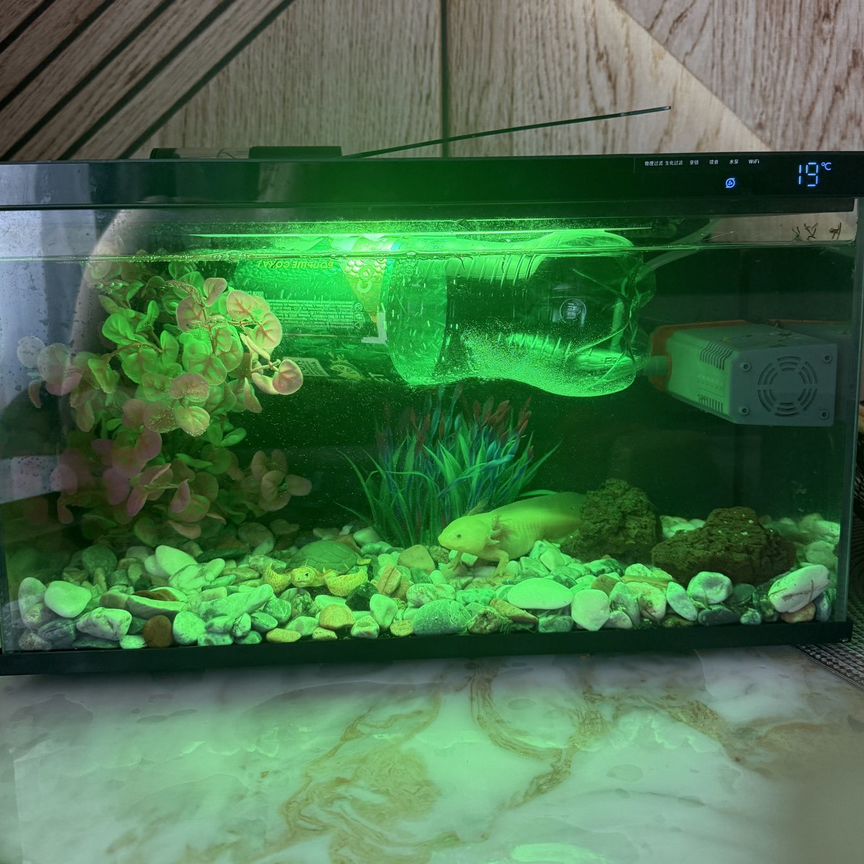 Аквариум на 30 литров