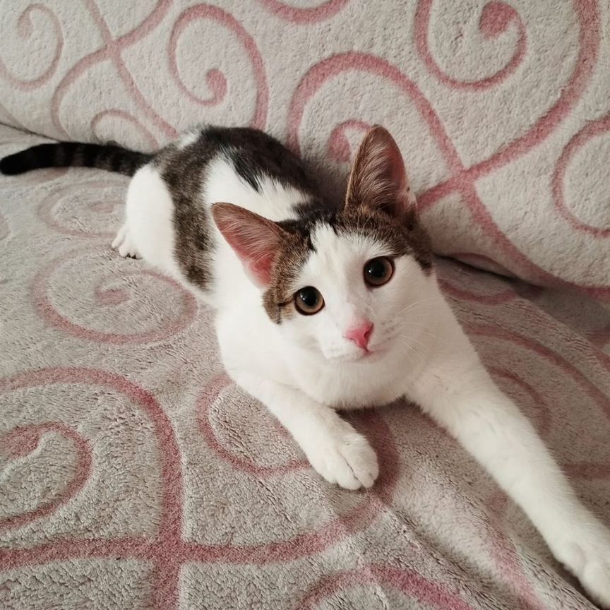 Мальчик - подросток