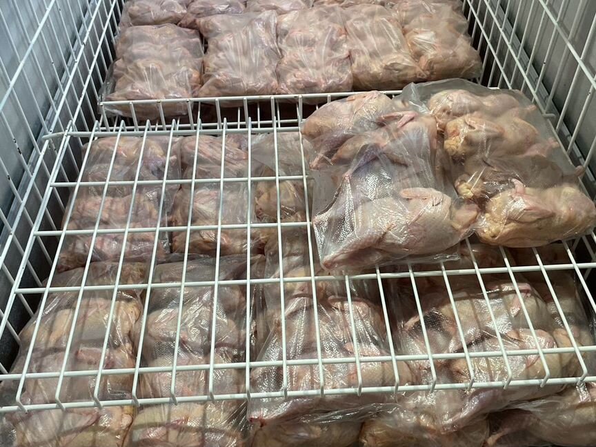 Домашние перепелки