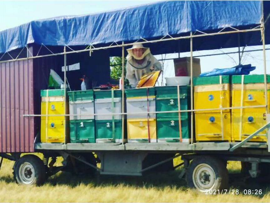 Пчелоприцеп легковой