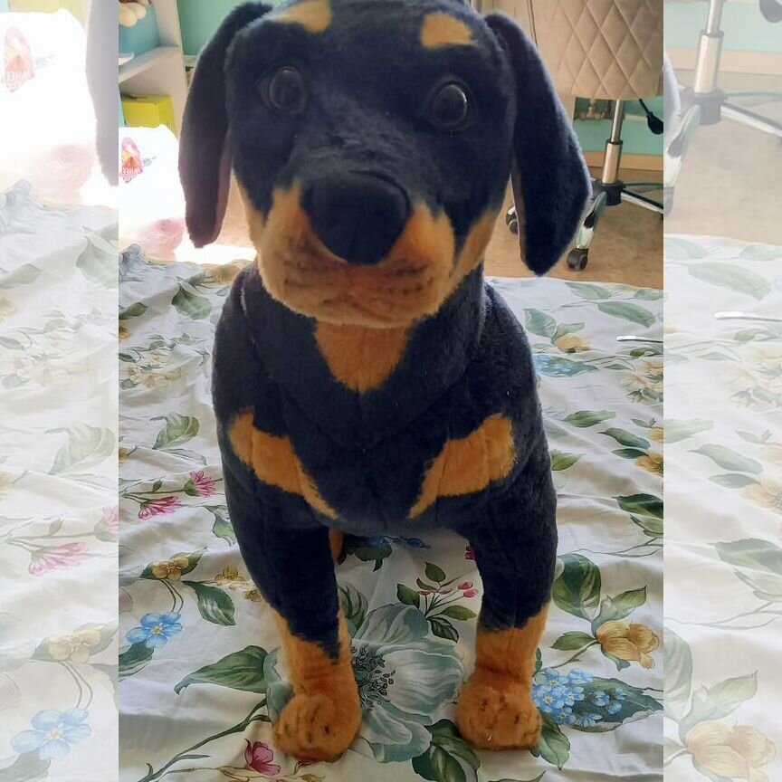 Собака-игрушка как настоящая