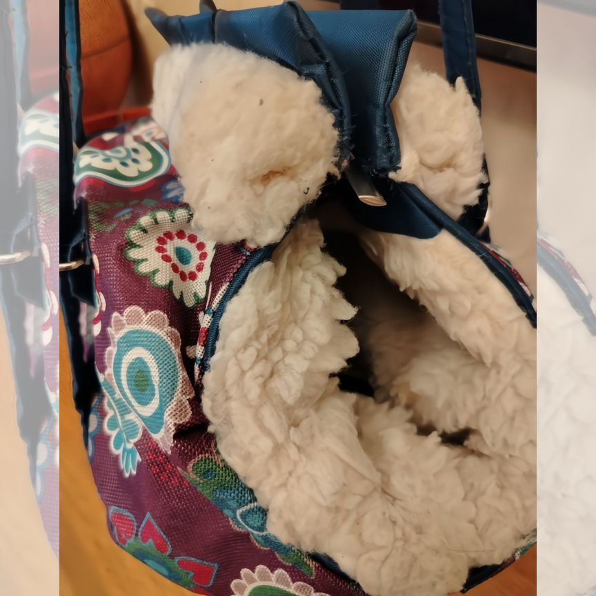 Переноска для средних собак