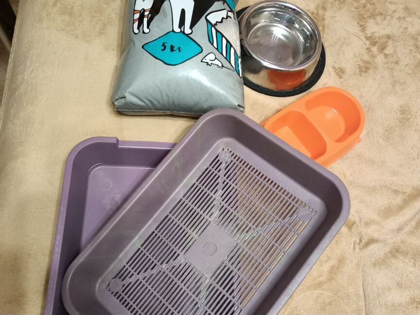 Лоток для кошек